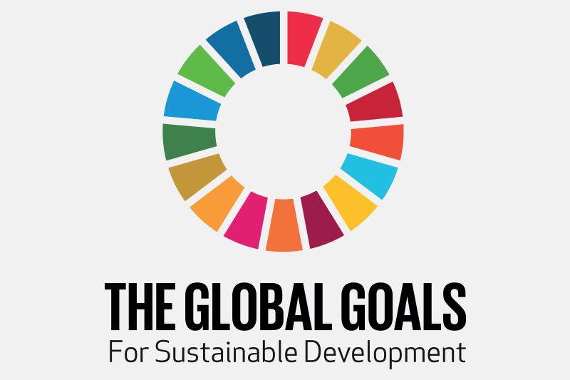 Global Goals: Sustainable Development for Every Child’s Future | UNICEF ...