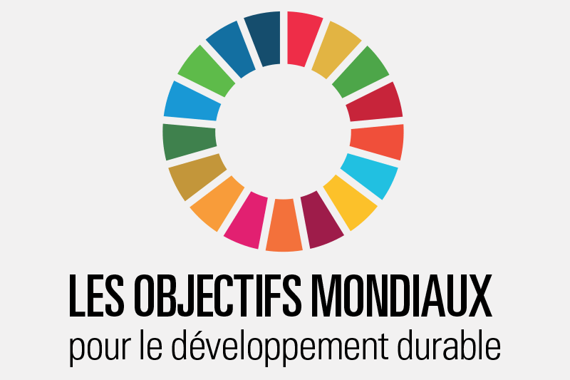 Les objectifs mondiaux pour le développement durable | UNICEF Canada ...