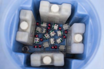 For Vaccination Week, join a "cold chain mission" in South Sudan ...